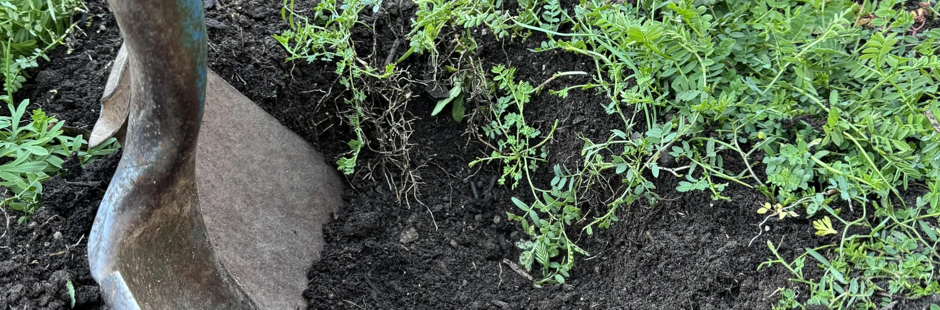 Improving your Garden Soil - Gilroy | UC Master Gardeners of Santa Clara County